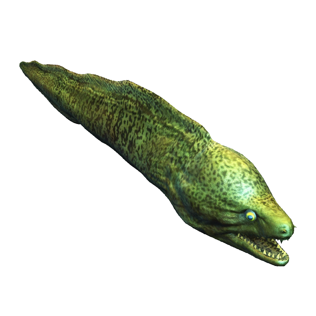 Murène | Wiki Assassin's Creed | FANDOM powered by Wikia