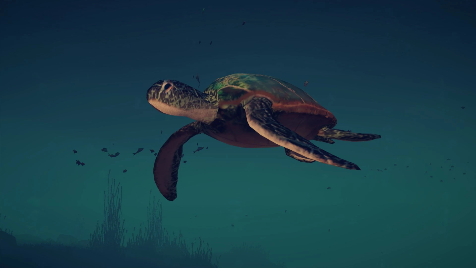 Green sea turtle | Assassin's Creed Wiki | Fandom