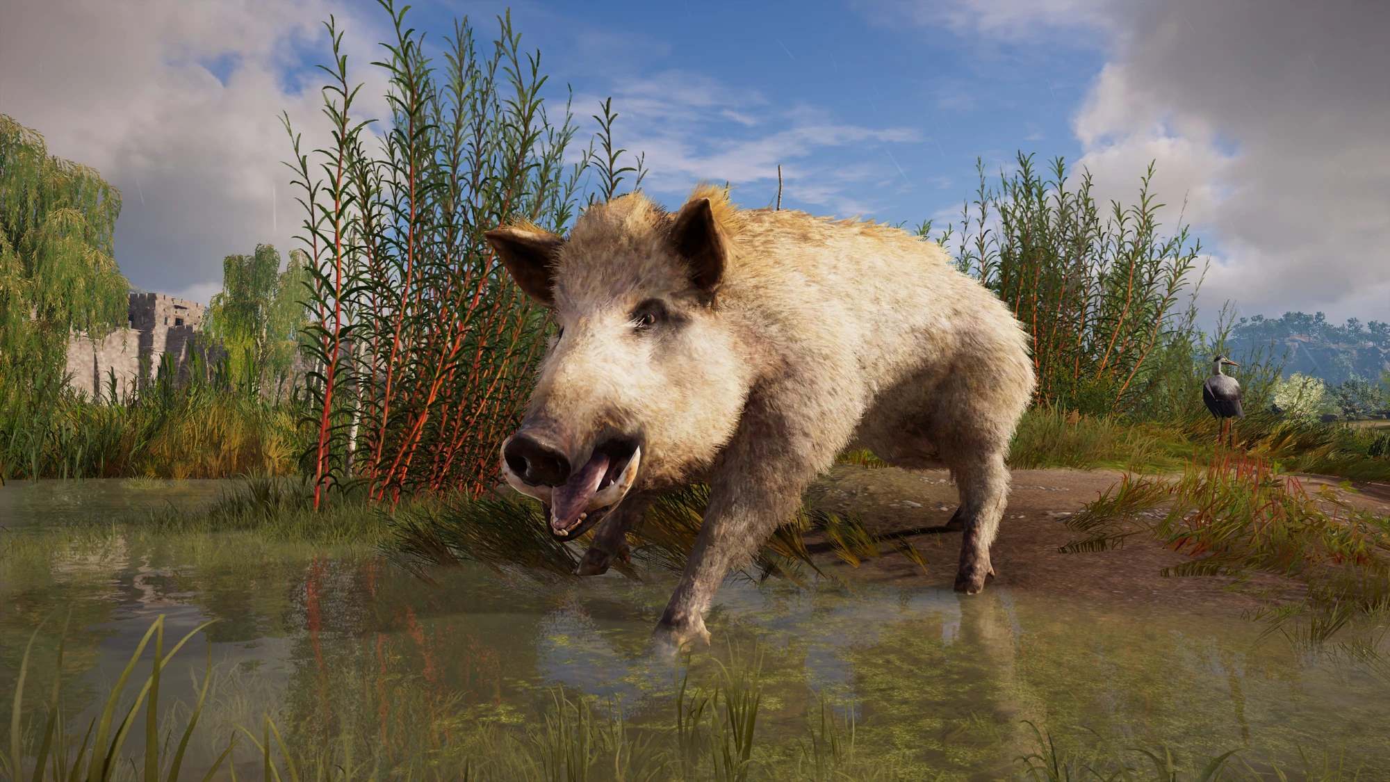 Wild boar | Assassin's Creed Wiki | Fandom