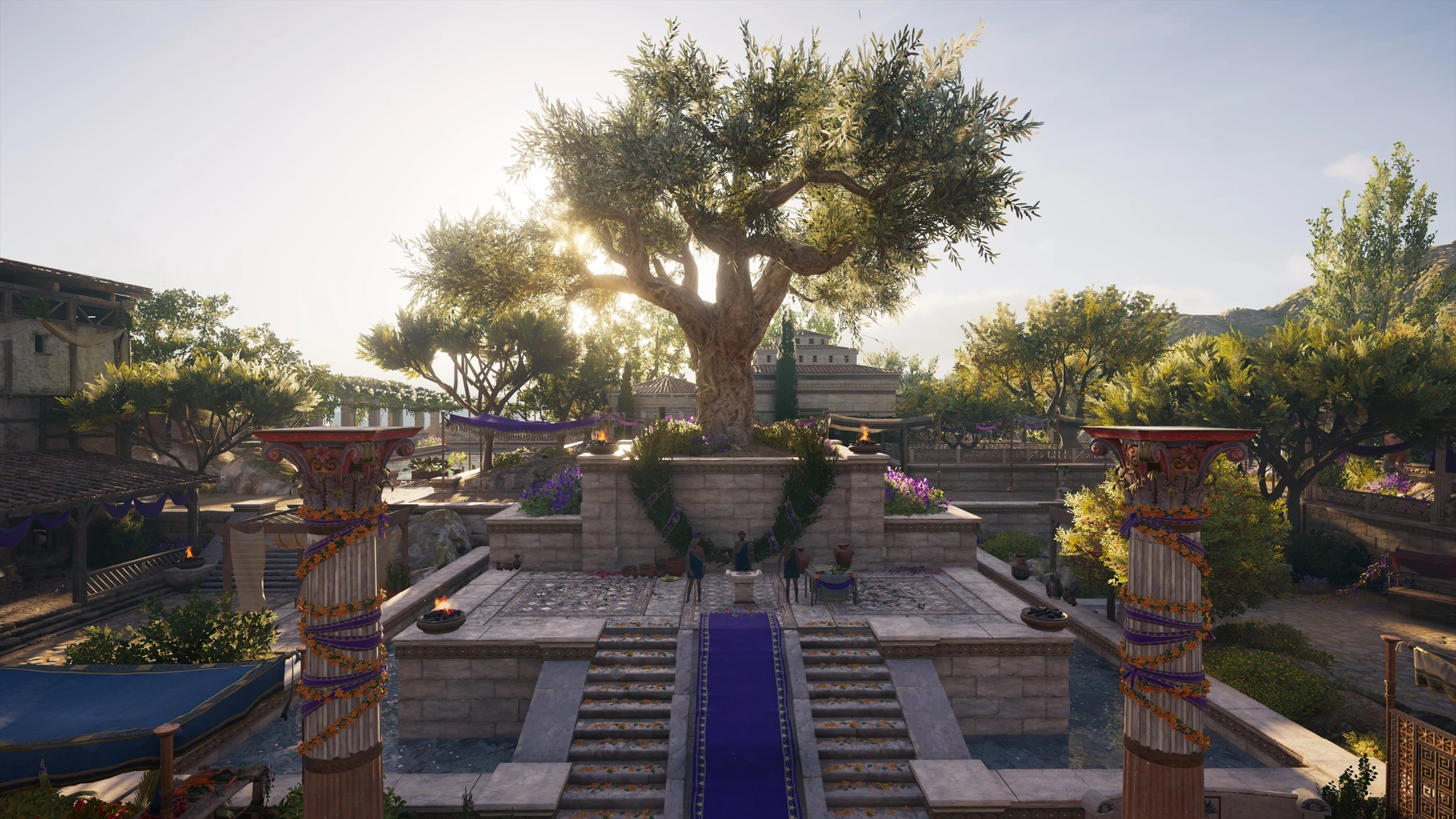 Olympic Tree | Assassin's Creed Wiki | Fandom