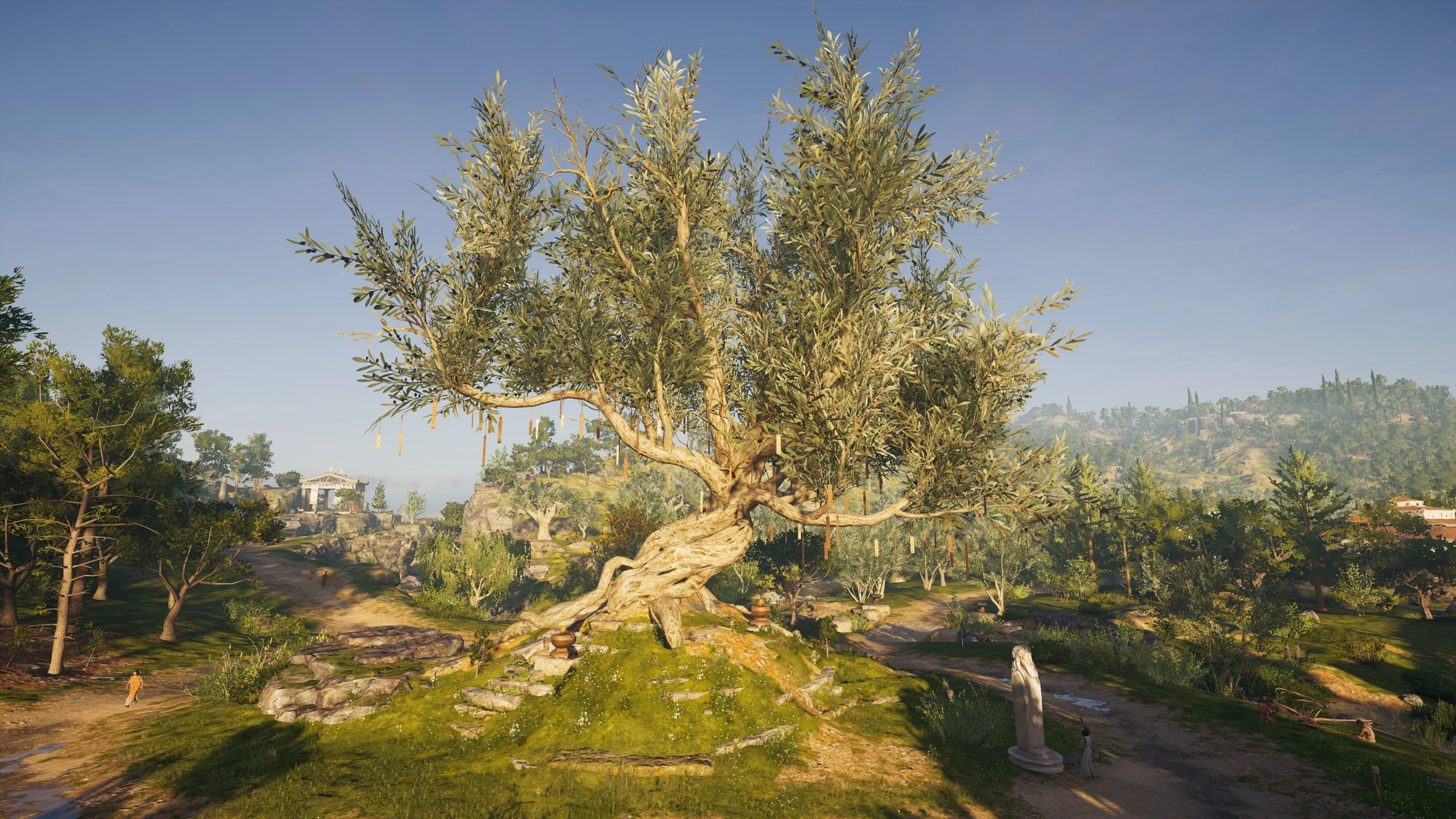 Olive Tree of Herakles | Assassin's Creed Wiki | Fandom