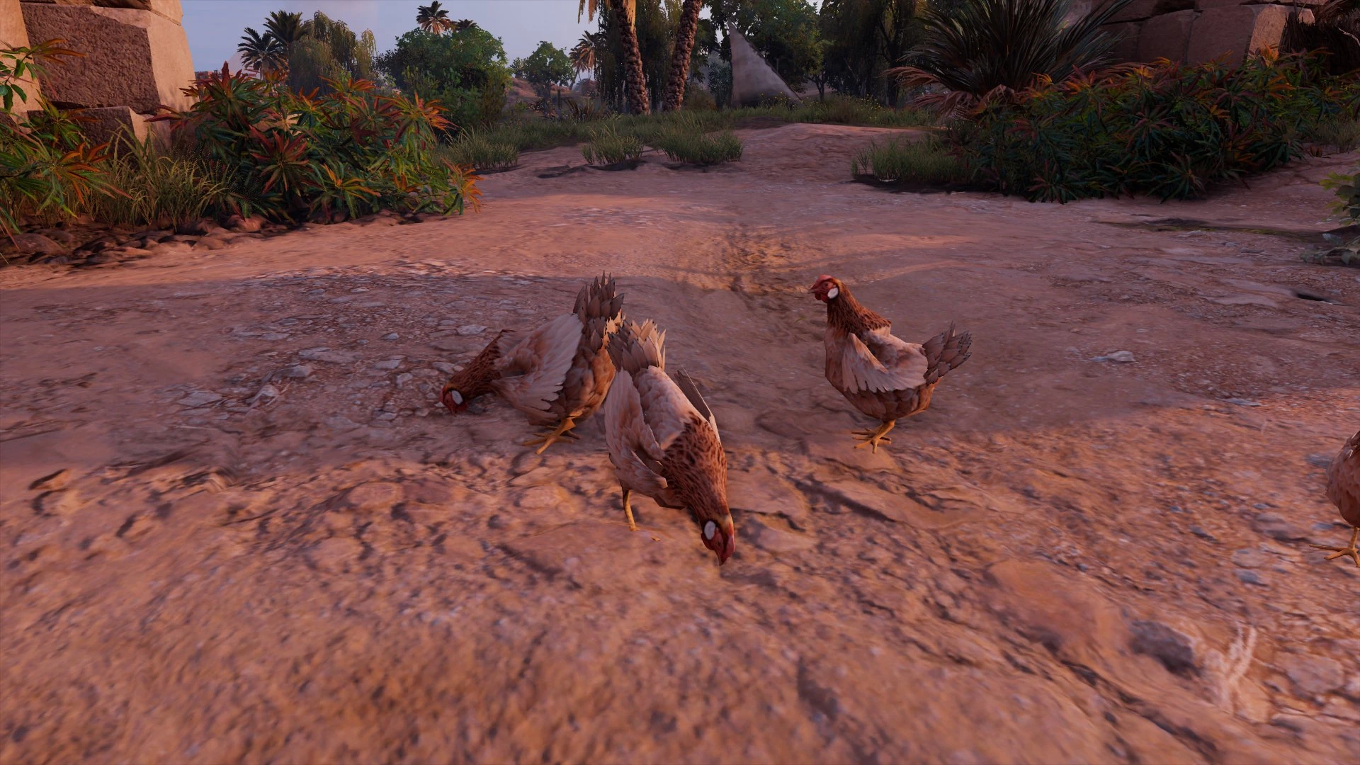 Chicken | Assassin's Creed Wiki | Fandom