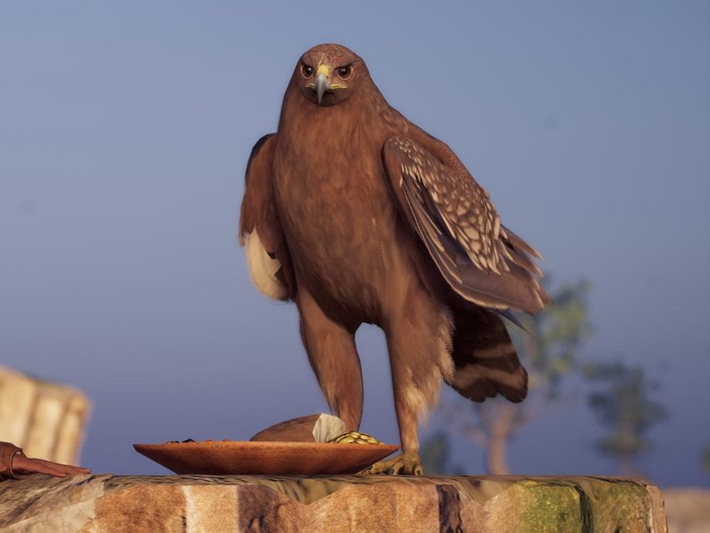 Ikaros | Assassin's Creed Wiki | Fandom