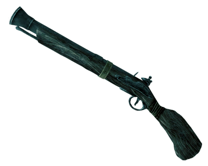 Smoothbore Gun | Assassin's Creed Wiki | Fandom