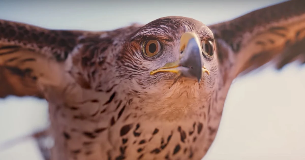 Senu | Assassin's Creed Wiki | Fandom