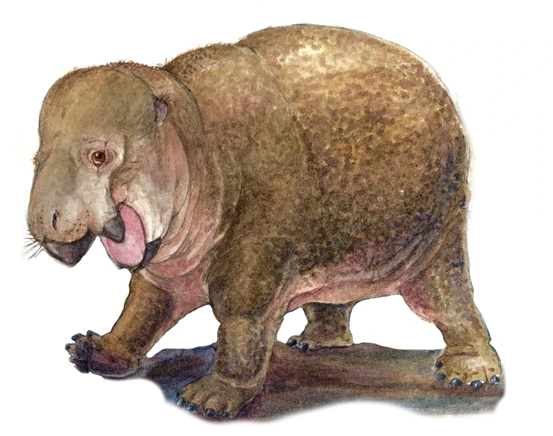 Dicynodont | Astrohanasia Wiki | Fandom