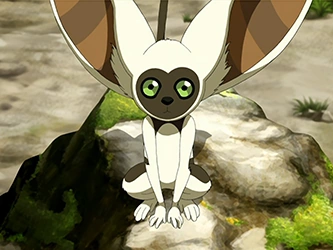 Momo | Avatar Wiki | Fandom