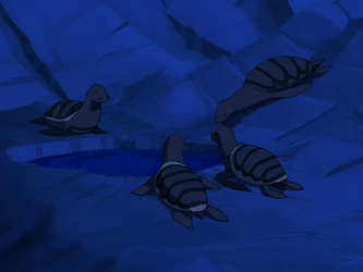 Turtle seal | Avatar Wiki | Fandom