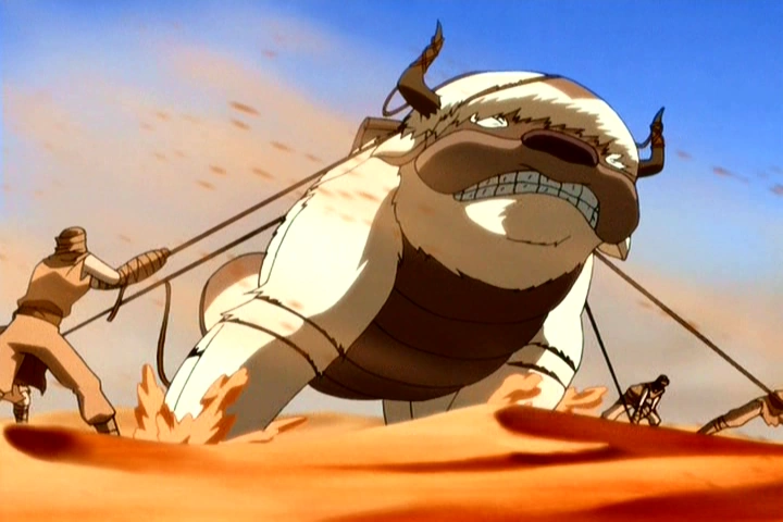 Appa | Avatar Wiki | FANDOM powered by Wikia