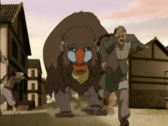 Image - Elephant mandrill.png | Avatar Wiki | FANDOM powered by Wikia