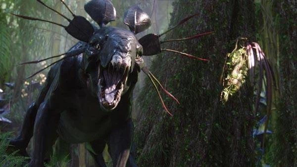 Palulukan | Pandorapedia | FANDOM powered by Wikia