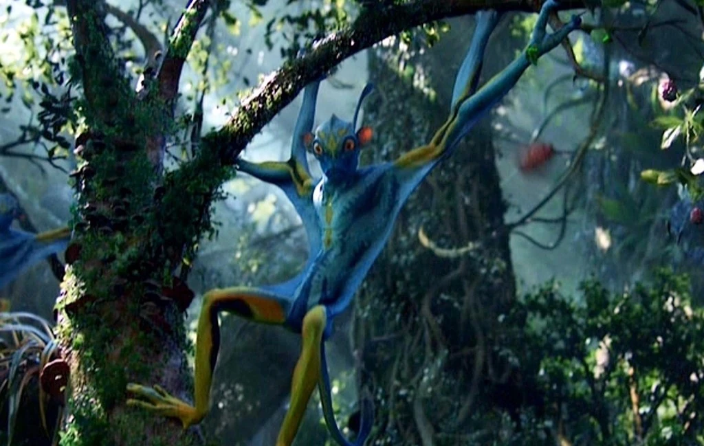 Prolemuris | Avatar: Initium Wiki | FANDOM powered by Wikia