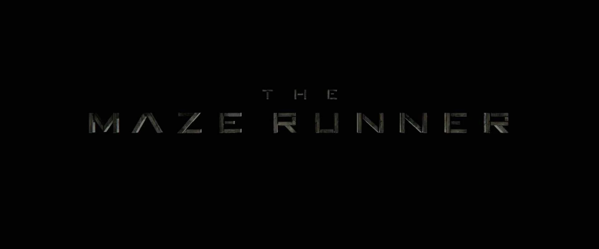 The Maze Runner | Film and Television Wikia | Fandom