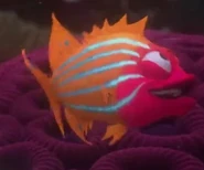Finding Nemo | Film and Television Wikia | Fandom