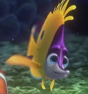 Finding Nemo | Film and Television Wikia | Fandom