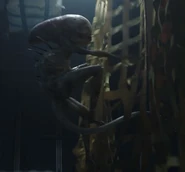 Bloodburster | Xenopedia | FANDOM powered by Wikia