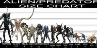 Image - Alien and Predator Size Chart.jpg | Xenopedia | FANDOM powered ...