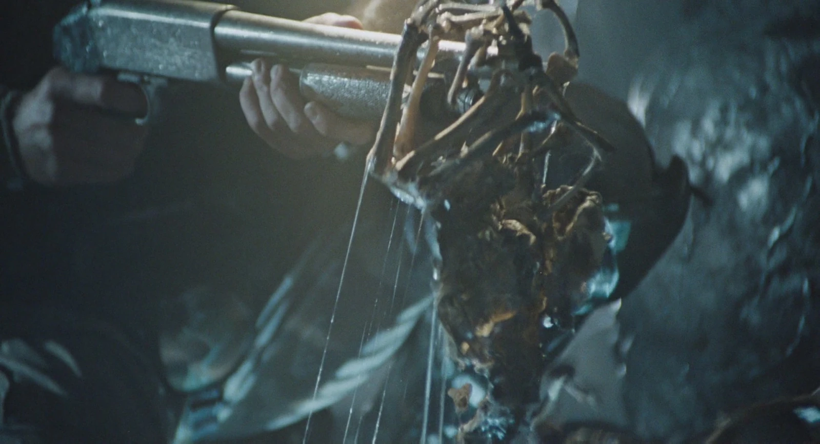 Image - Hicks picks up Facehugger with shotgun.jpg | Xenopedia | FANDOM ...