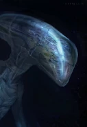 Neomorph | Xenopedia | FANDOM powered by Wikia