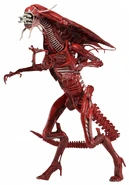 Red Xenomorph | Xenopedia | FANDOM powered by Wikia
