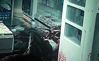 Image - Backburster-neomorphe-12.jpg | Xenopedia | FANDOM powered by Wikia