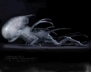 Neomorph | Xenopedia | FANDOM powered by Wikia