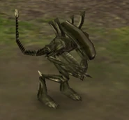 Drone | Xenopedia | FANDOM powered by Wikia