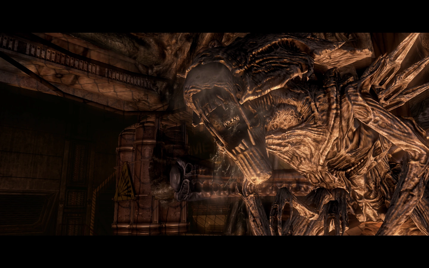 Image - Matriarch.png | Xenopedia | FANDOM powered by Wikia