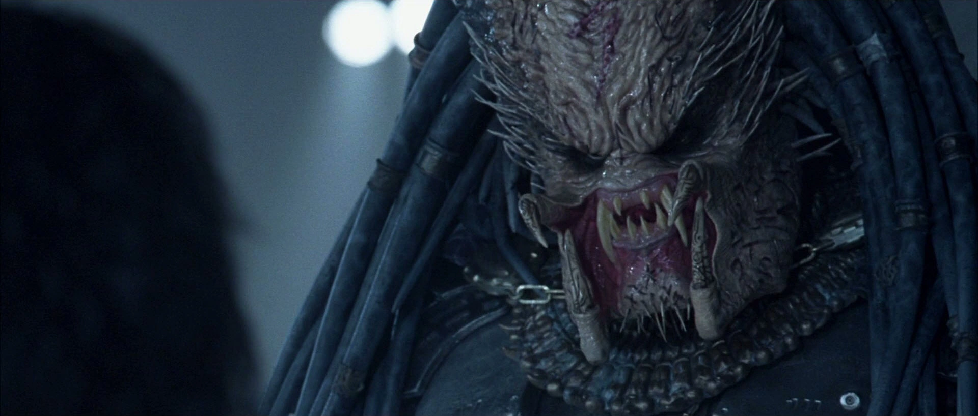 Ancient (Predator) | Aliens vs Predator Wiki | FANDOM powered by Wikia