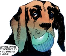 Mac (dog) | Xenopedia | Fandom