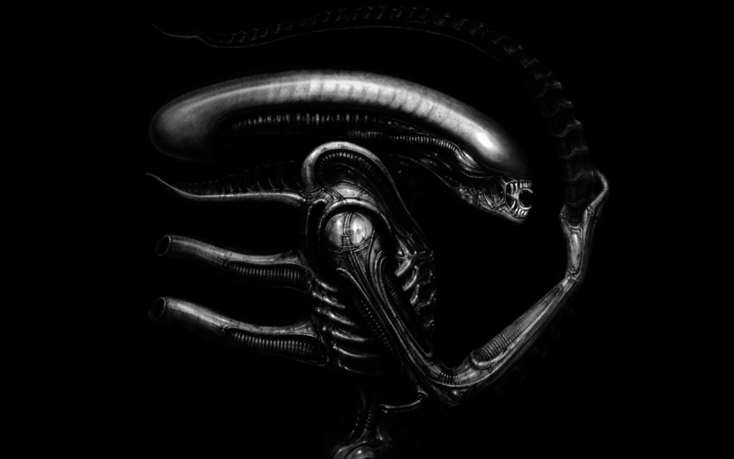 Image - Xenomorph alien desktop 1440x900 hd-wallpaper-931956.jpg ...