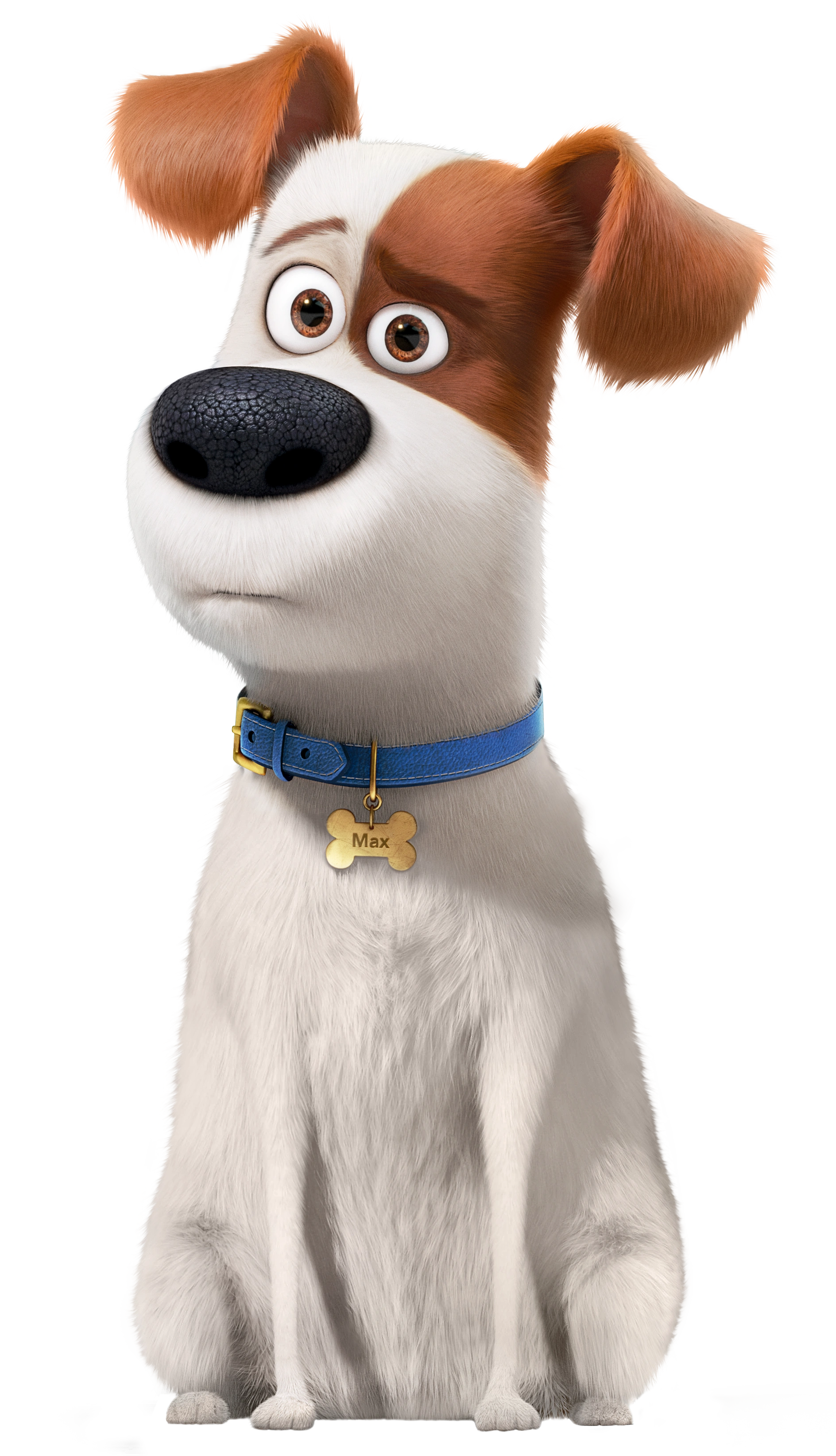 Baby Bach | Baby Einstein 2 Wiki | Fandom