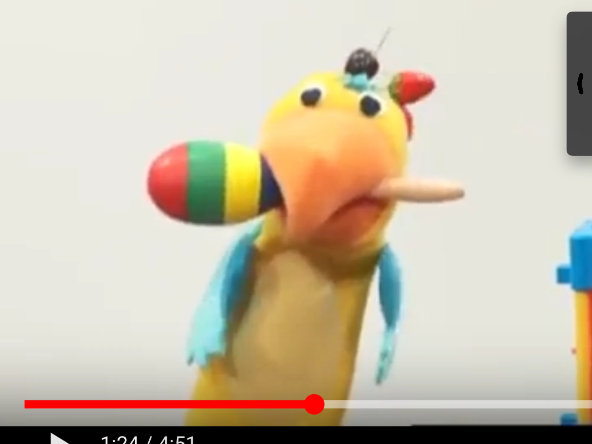 Bud The Parrot | Baby Einstein Wiki | Fandom