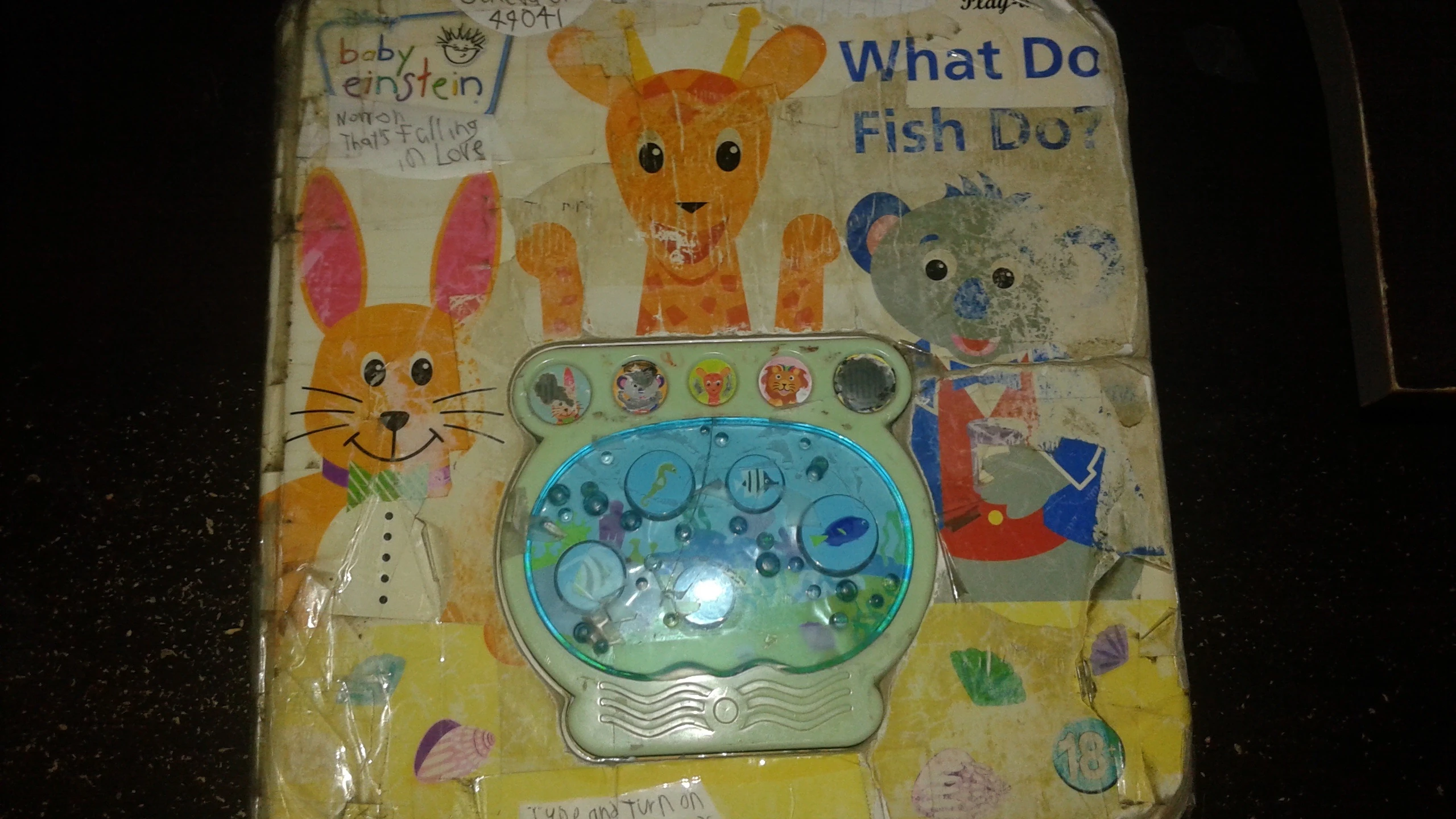 What Do Fish Do? | Baby Einstein Wiki | Fandom