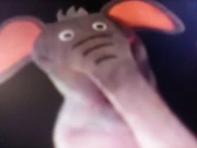 Noah the Elephant | Baby Einstein Wiki | Fandom