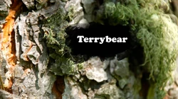 Terrybear | Harvey Beaks! Wiki | Fandom