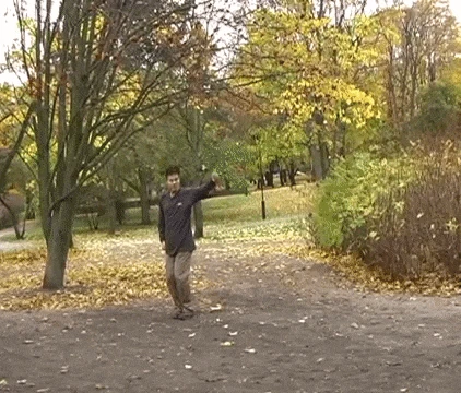 Fú Hǔ 伏虎 | Bajiquan Wikia | Fandom