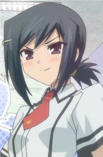 Yoshiko Mikami | Baka to Test to Shoukanjuu Wiki | FANDOM powered by Wikia