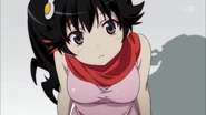 Karen Araragi | Bakemonogatari Wiki | Fandom