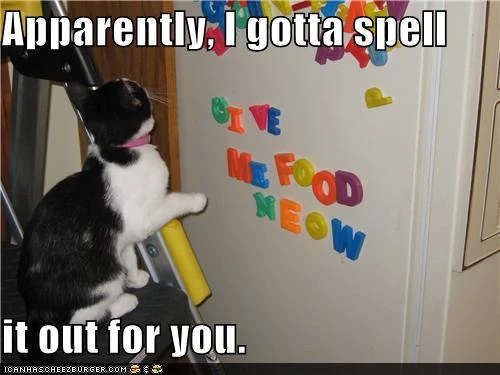 Image - Funny-pictures-apparently-i-gotta-spell-it-out-for-you.jpg ...