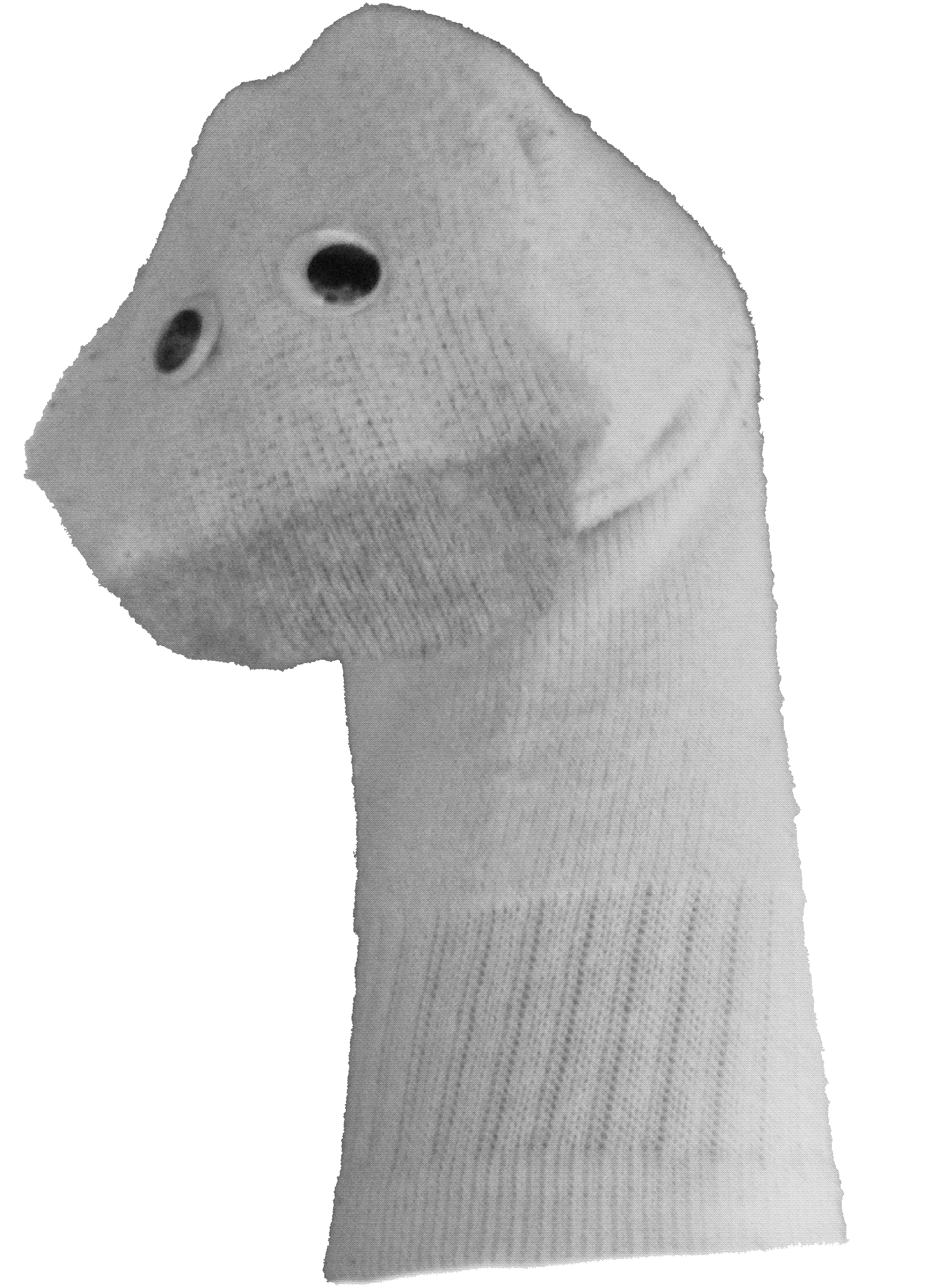 Creative Artisans | Baldi's Basics Fanon Wiki | Fandom