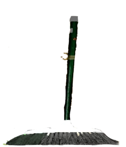 Gotta sweep (super teacher) | Baldi Mod Wiki | Fandom