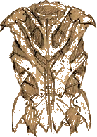 Elven Chain Mail | Baldur's Gate Wiki | Fandom