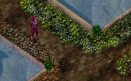 Imoen | Baldur's Gate Wiki | FANDOM powered by Wikia