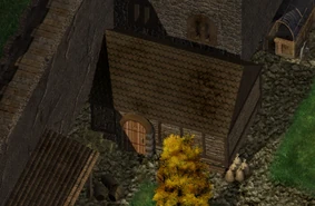Friendly Arm Inn | Baldur's Gate Wiki | Fandom