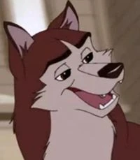 Kodi | Balto Wiki | Fandom