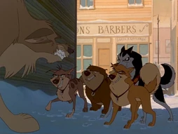 Kaltag | Balto-trilogy Wiki | Fandom