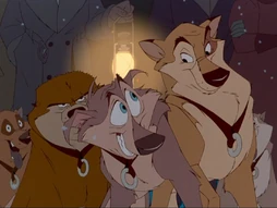 Kaltag | Balto-trilogy Wiki | Fandom