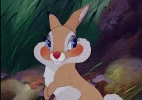 Thumper's mate | Bambi Wiki | Fandom