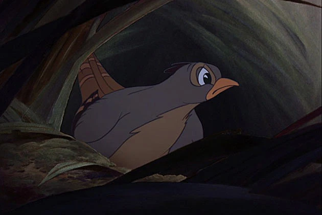 Pheasant | Bambi Wiki | FANDOM powered by Wikia